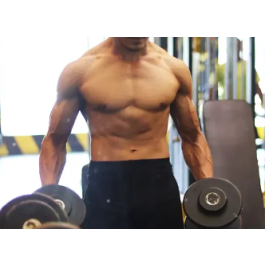 Physique Trainer
