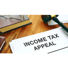 Income Tax Appeal