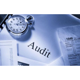 Auditing Services