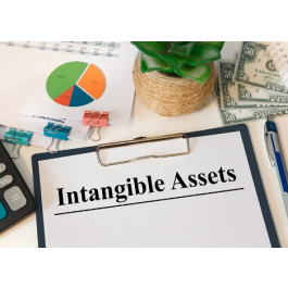 Valuation Of Brands, Goodwill & Intangible Assets