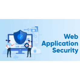 Web Application Security Development